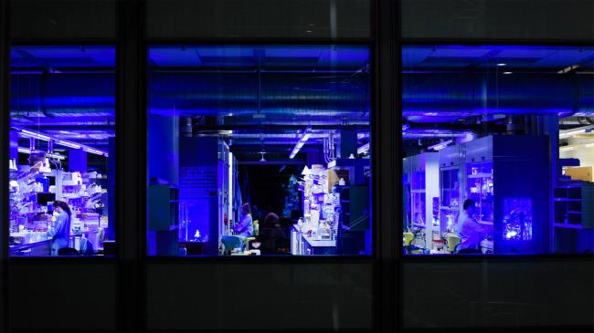 The next big thing from Princeton’s MacMillan lab: an ‘improbable ...