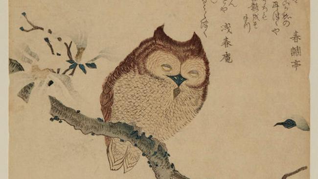 Drawing from the Collections | Colored Pencils: Saturated and ...